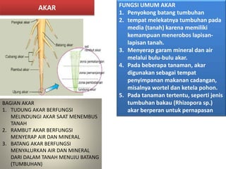 Tumbuhan hewan serta lingkungan | PPTX