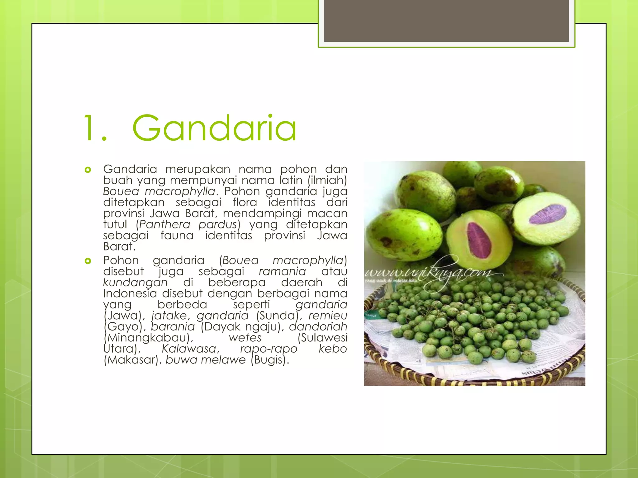 Tumbuhan khas jawa barat | PPTX