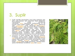 Tumbuhan khas jawa barat | PPTX