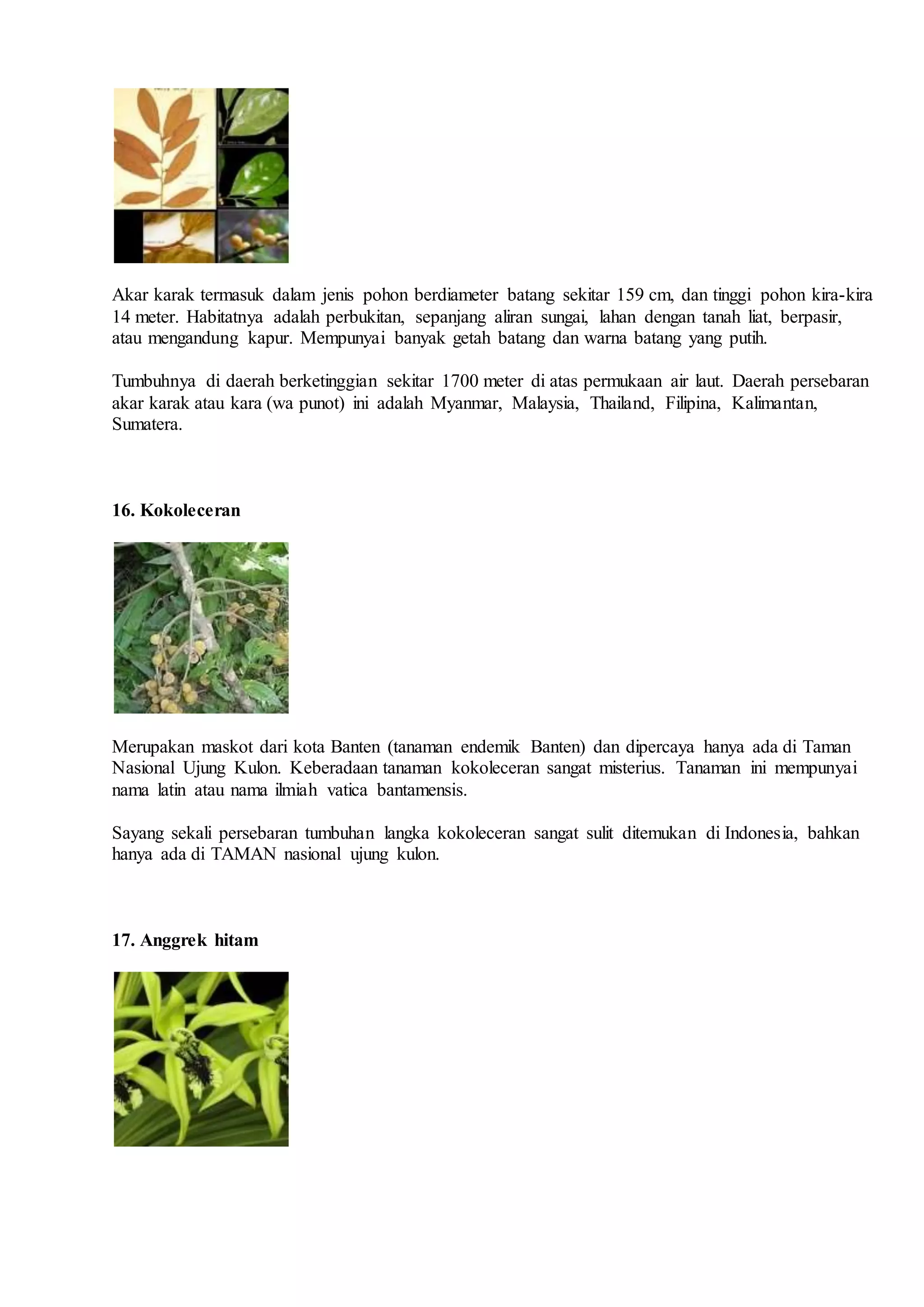 Tumbuhan langka di indonesia | PDF