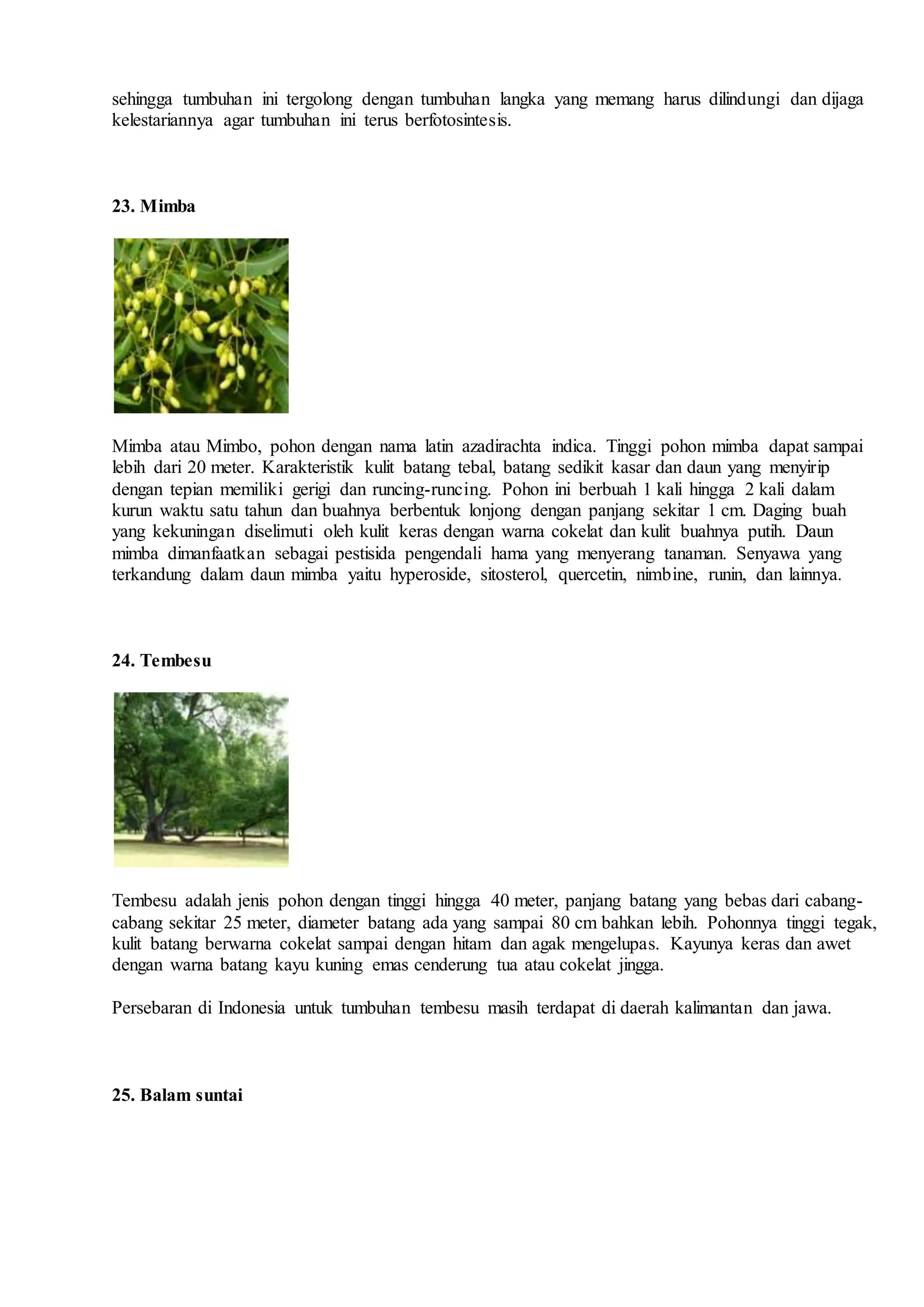 Tumbuhan langka di indonesia | PDF