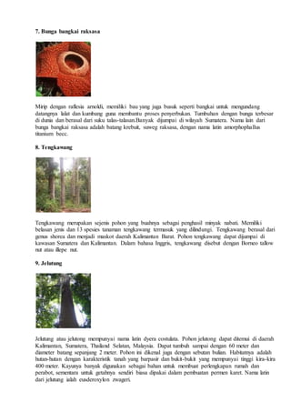 Tumbuhan langka di indonesia | DOCX