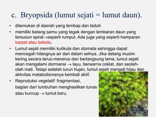 Tumbuhan lumut | PPTX