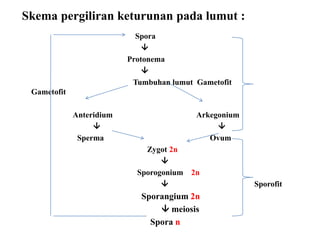 Tumbuhan lumut | PPTX