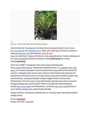 Tumbuhan paku | DOCX