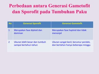 Tumbuhan paku | PPTX