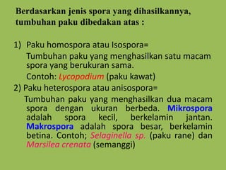 Tumbuhan paku | PPTX