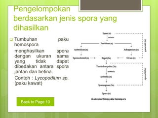 Tumbuhan paku | PPTX