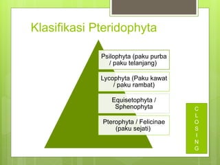 Tumbuhan paku | PPTX