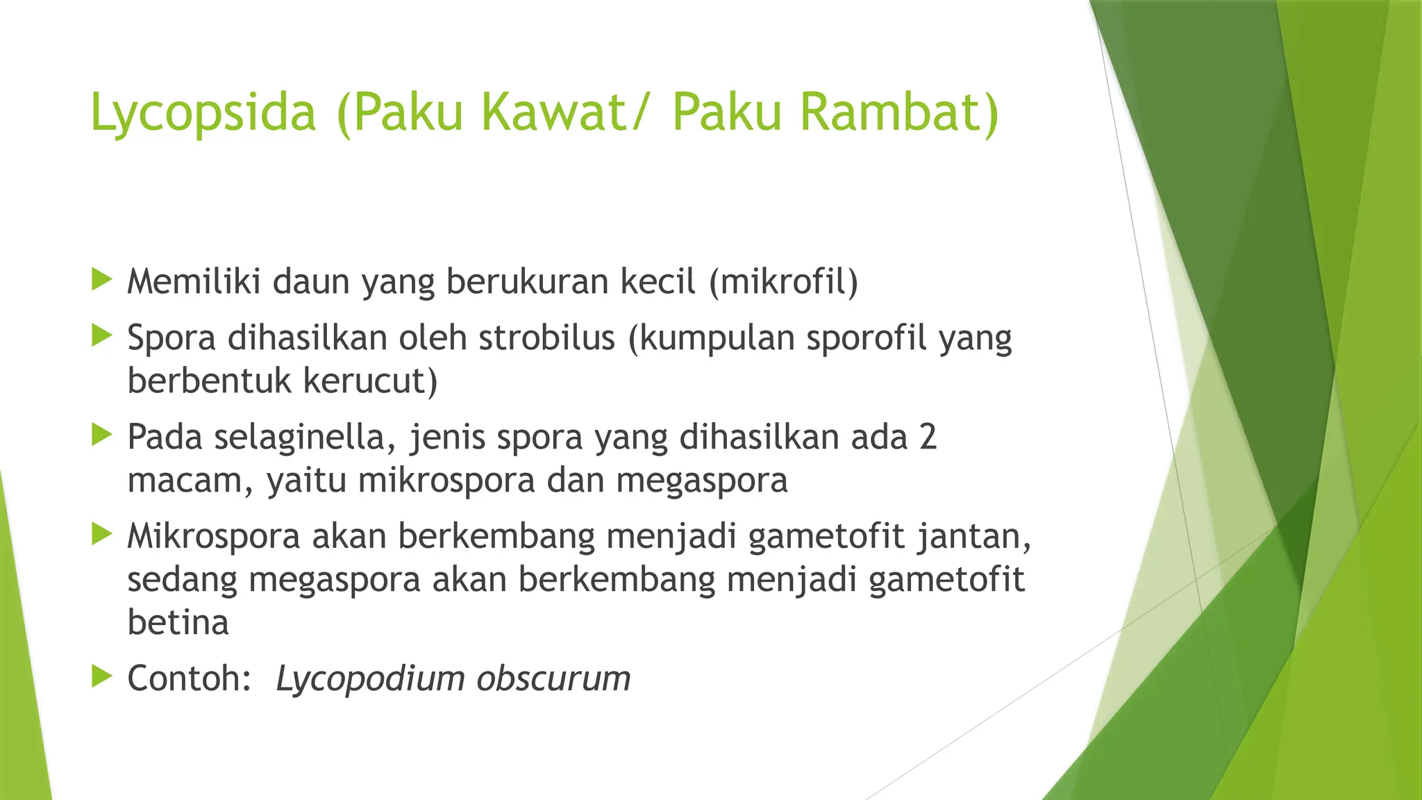 Tumbuhan Paku (Pteridophyta) .pptx