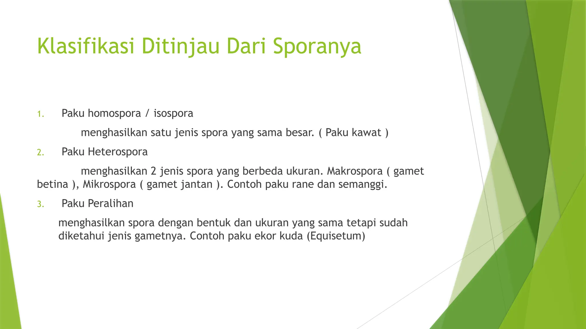 Tumbuhan Paku (Pteridophyta) .pptx