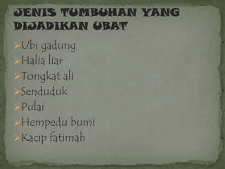 Tumbuhan semula jadi sebagai sumber perubatan | PPT