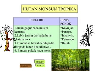 Tumbuhan semulajadi tg.1 | PPT