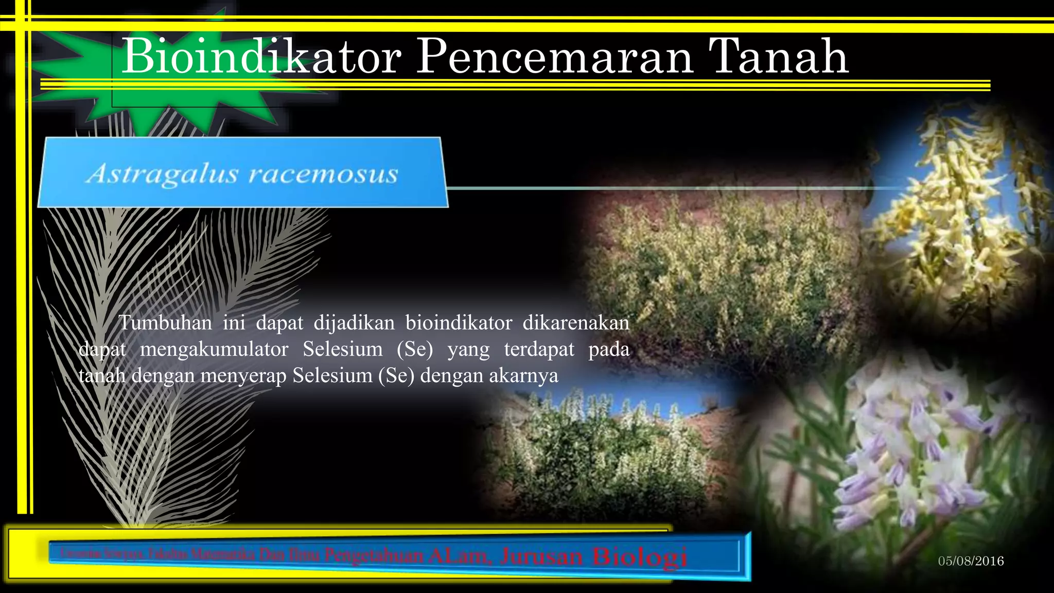 Tumbuhan sebagai bioindikator pencemaran lingkungan | PPTX