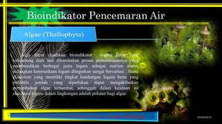 Tumbuhan sebagai bioindikator pencemaran lingkungan | PPTX