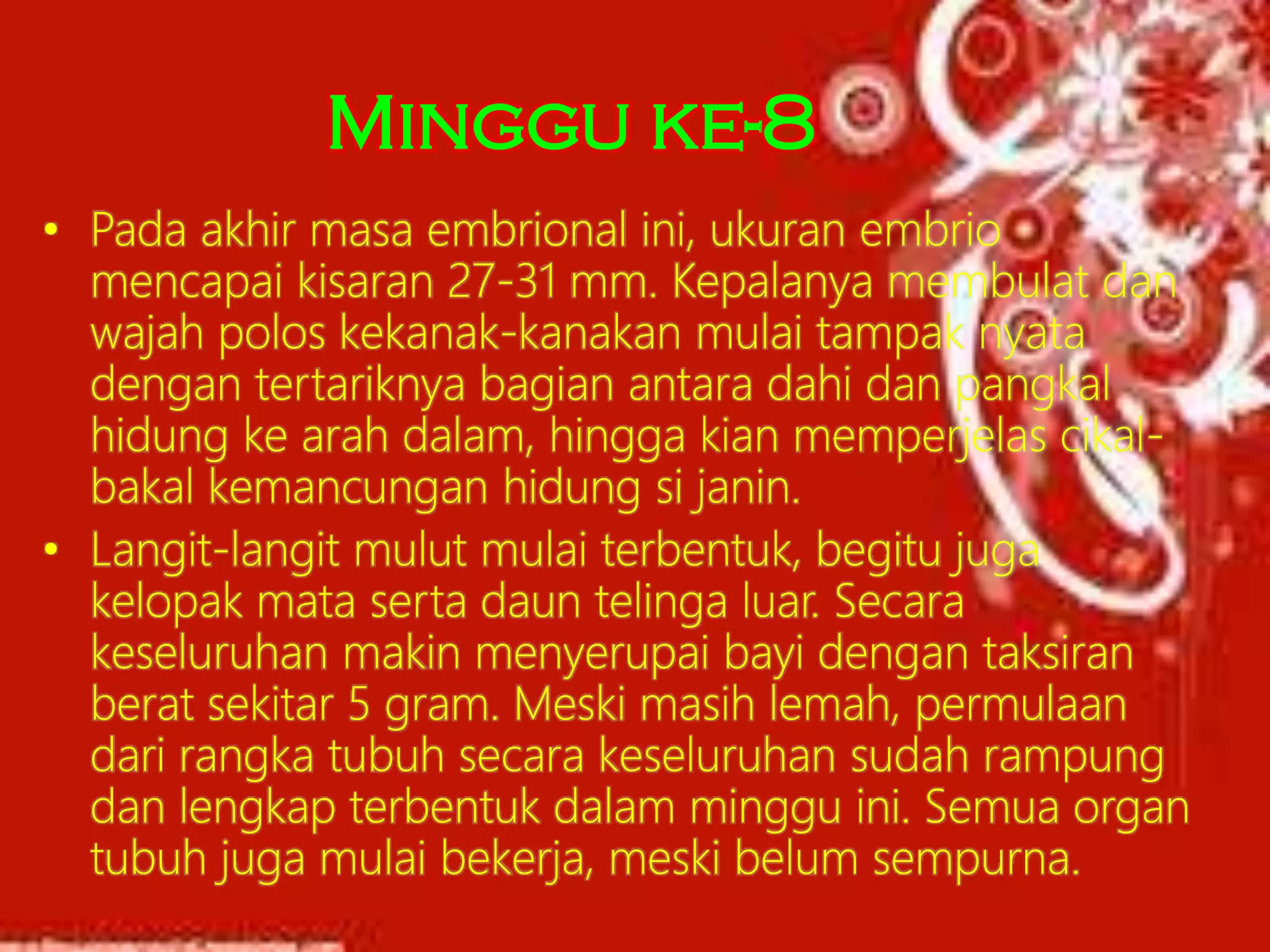 Tumbuh kembang janin trimester 1 | PPTX