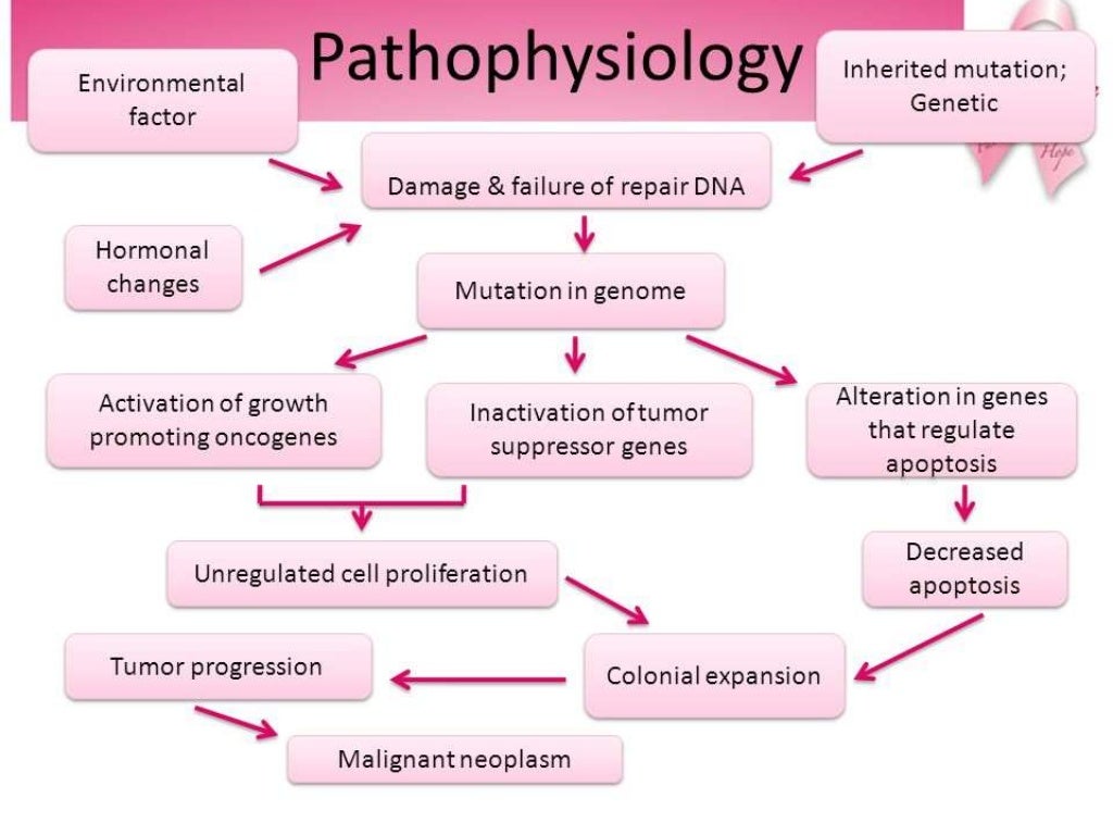 Introduction to Pathophysiology of Tumors