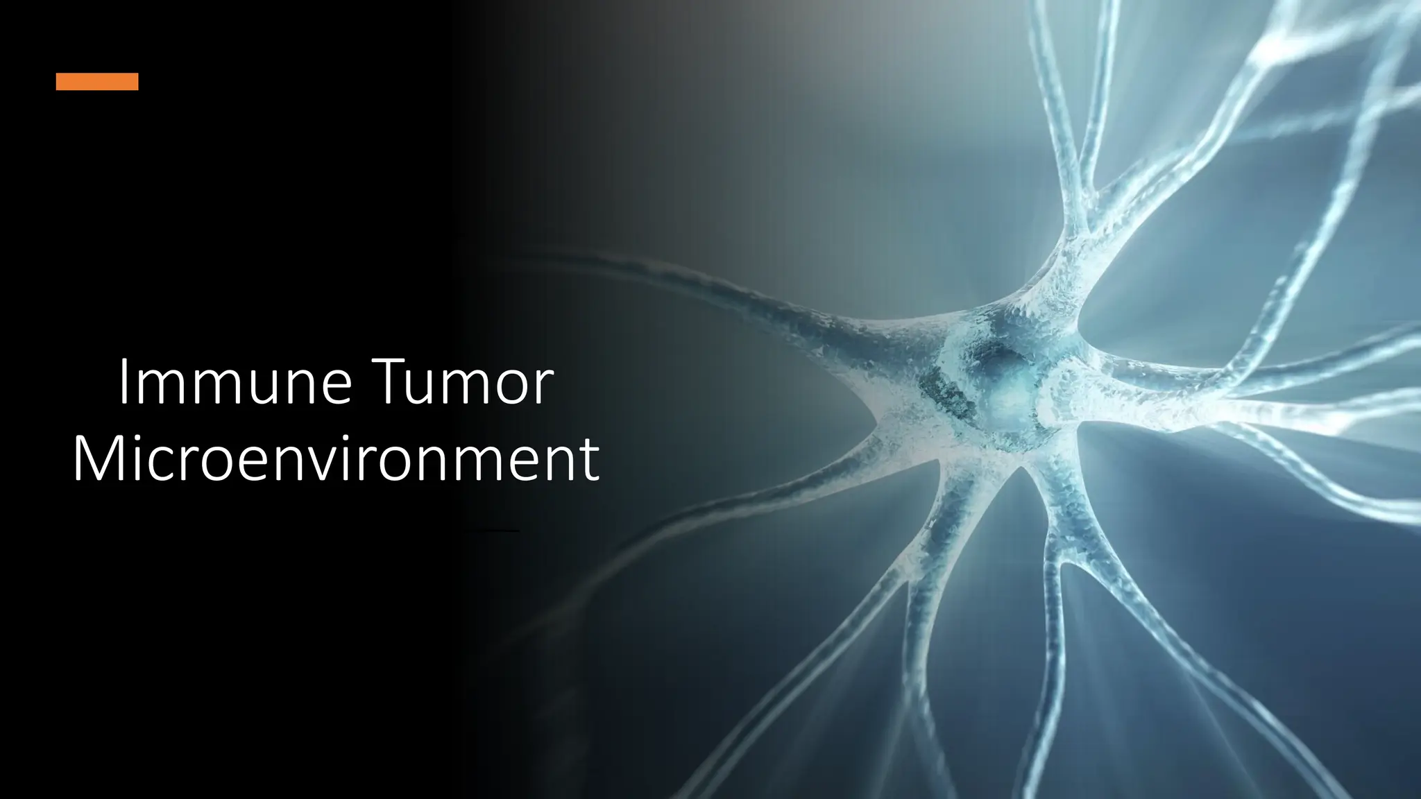 Tumor microenvironment: Underlying Secretes and its impact on cancer ...
