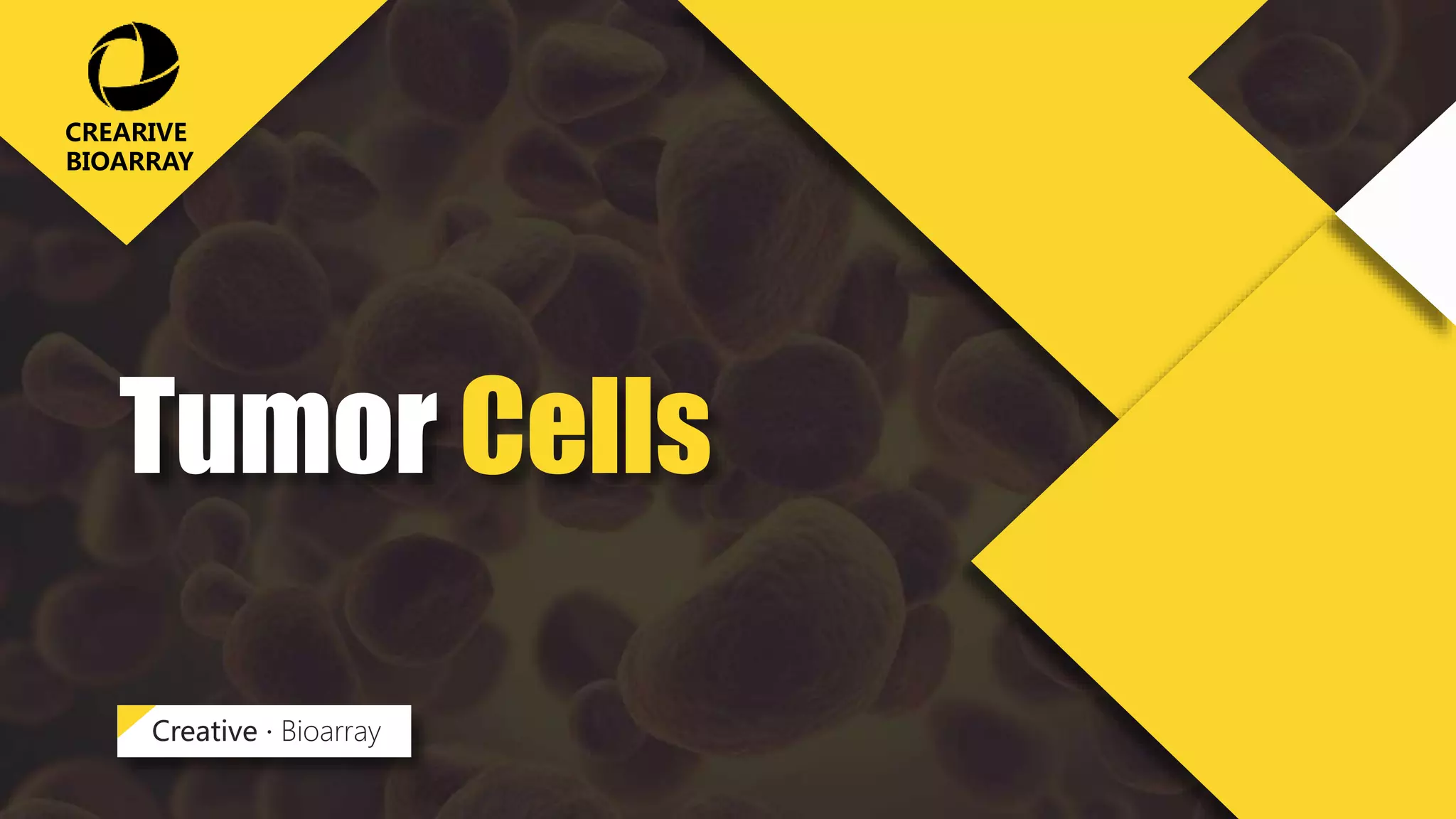 Tumor cells | PPT