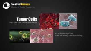 Tumor cells | PPT