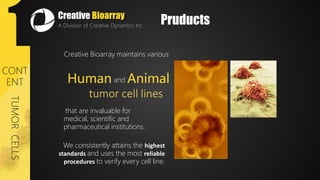Tumor cells | PPT