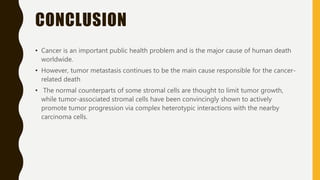 Tumor host interaction | PPTX