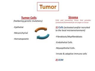 Tumor induced stroma | PPTX