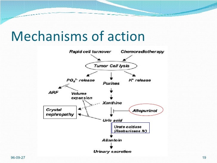 Tumor Lysis Syndrome2