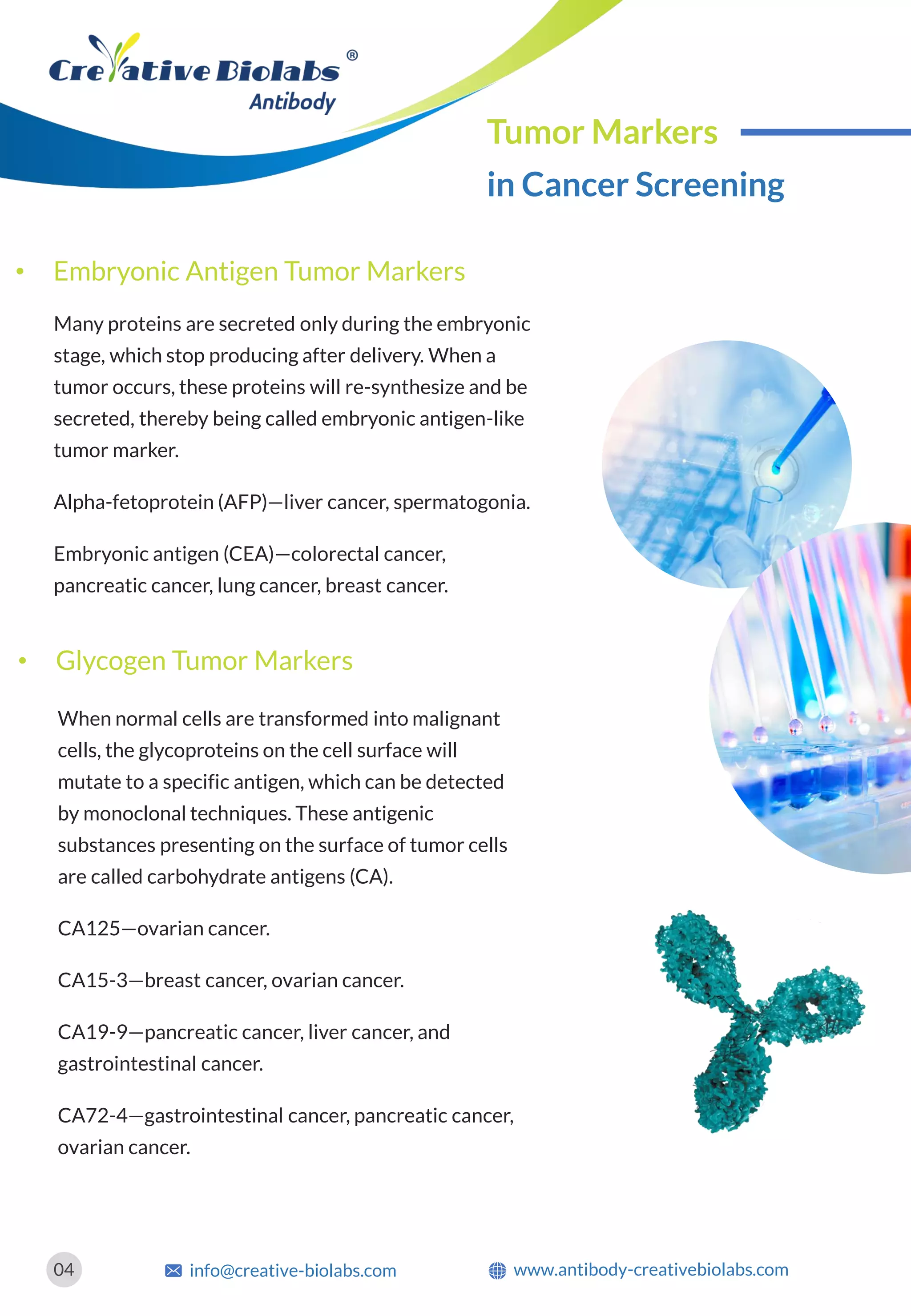 Tumor markers-screening-for-cancer | PDF
