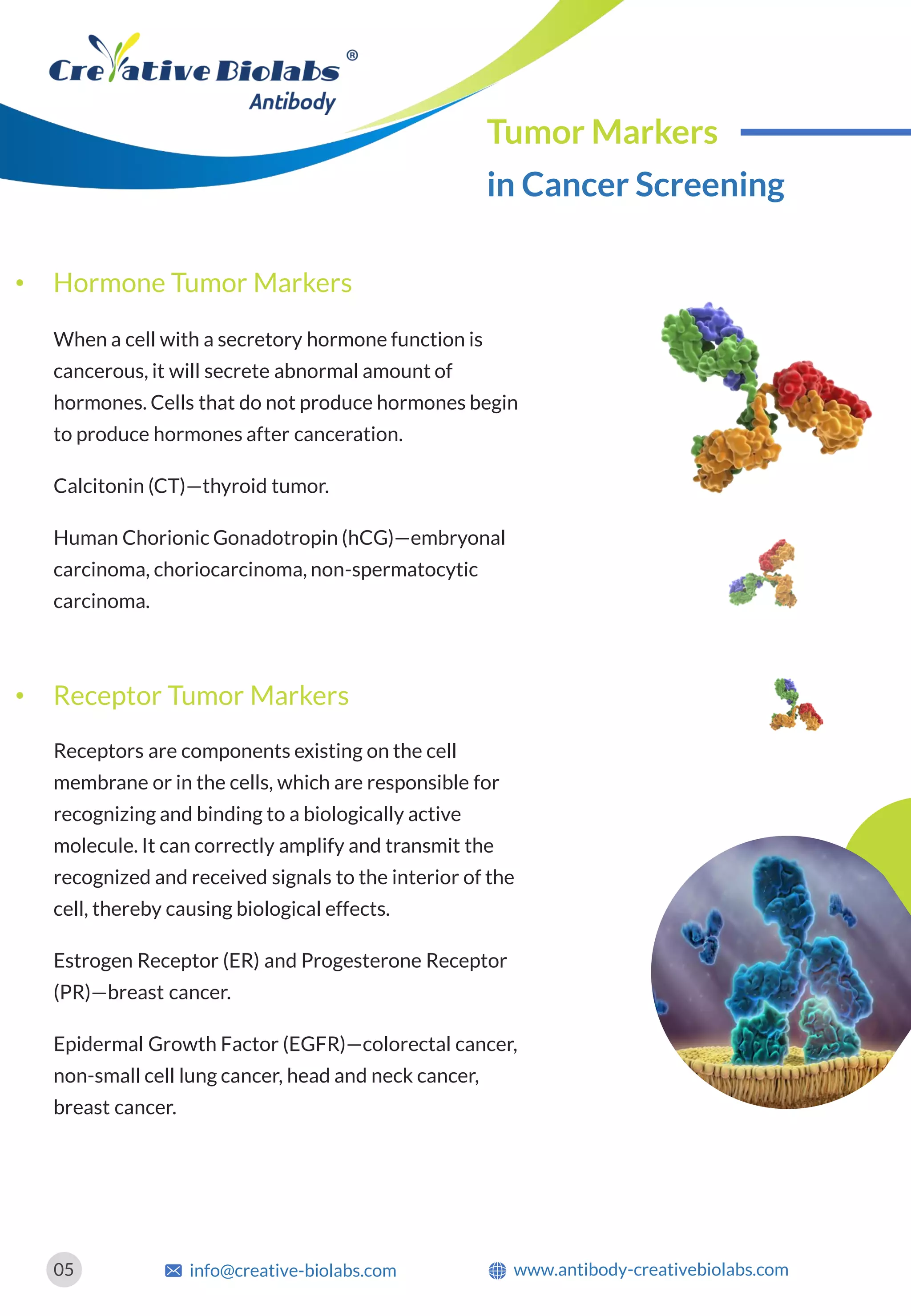Tumor markers-screening-for-cancer | PDF