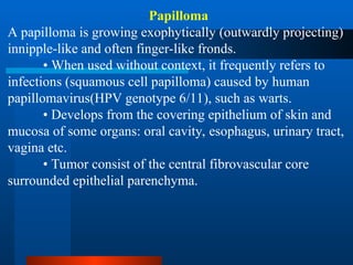 Epthelial tumor 2 pathology anatomy(1).ppt