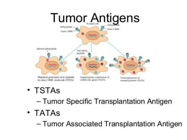 Tumor antigen and its types | PPT