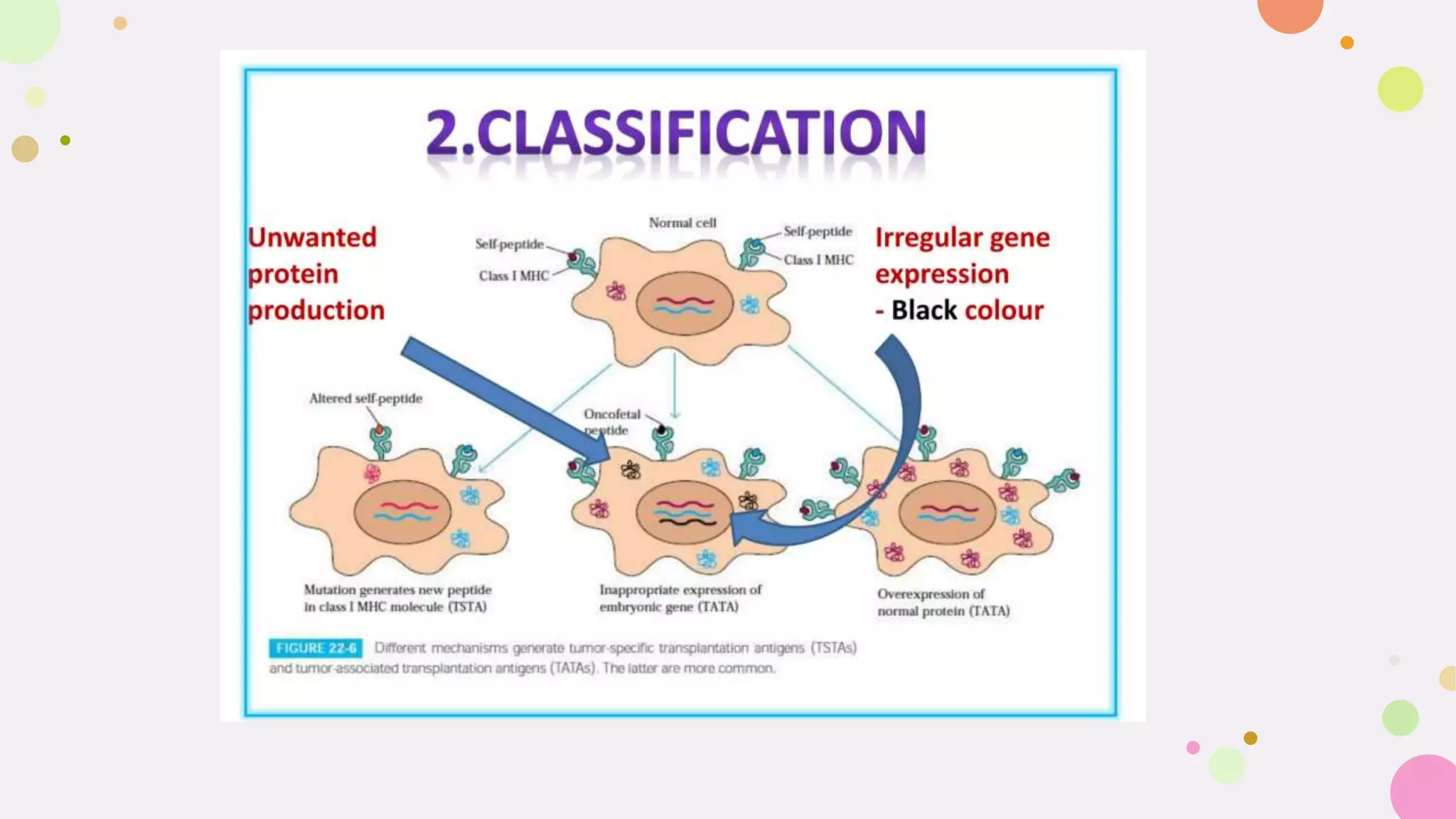 Tumor antigens & classification.pptx Tumor antigens & classification.pptx