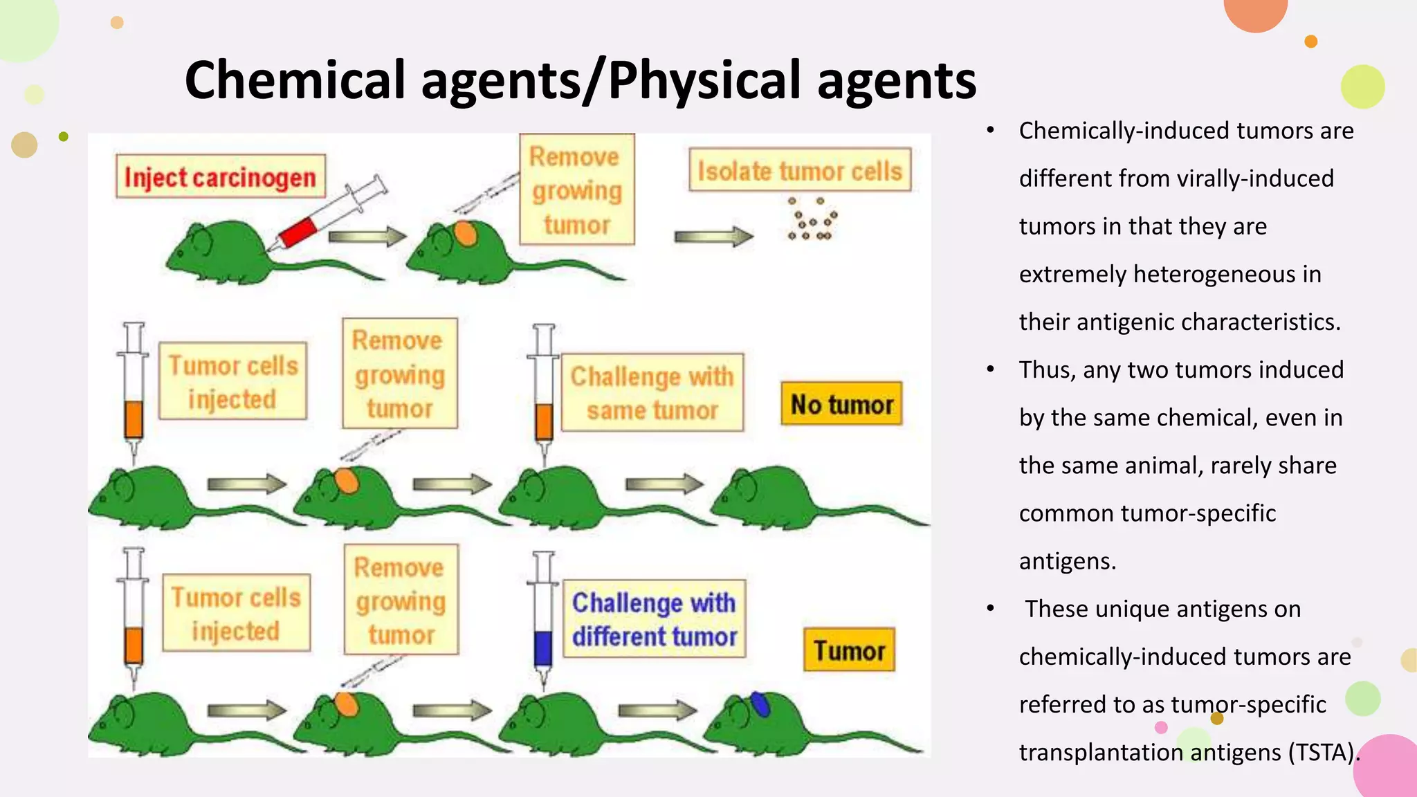 Tumor antigens & classification.pptx Tumor antigens & classification.pptx