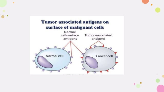 Tumor antigens & classification.pptx