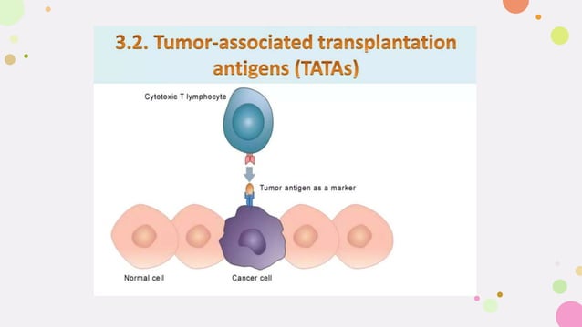 Tumor antigens & classification.pptx