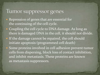 Tumor Associated Genes | PPTX
