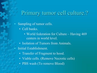 TUMOR CELL CULTURE | PPSX