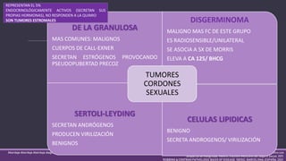 Abordaje tumores de ovario, caracterización y clasificación TNM | PPTX