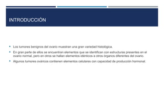 tumores de ovario krla presentacion.pptx