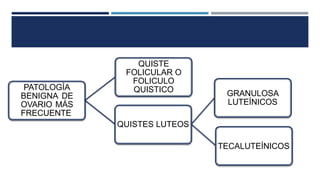 tumores de ovario krla presentacion.pptx