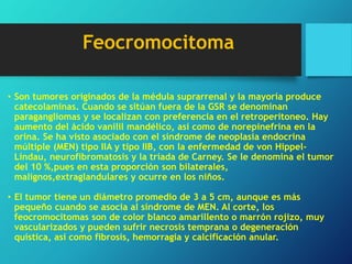 Tumores de la glandula suprarrenal diagnóstico imagenológico. | PPTX