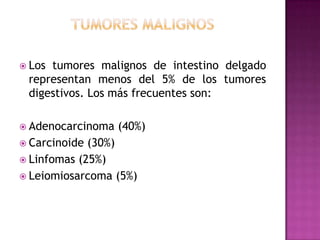 Tumores Benignos y Malignos del intestino Delgado | PPTX