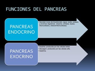 Tumores del pancreas | PPTX