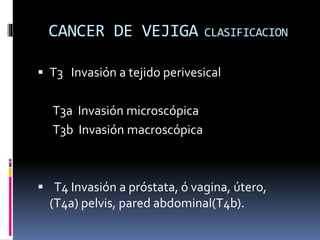 Clasificación Del Cáncer De Vejiga