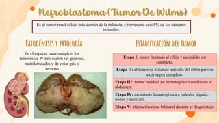 TUMORES GENITOURINARIOS SUBGRUPO..pptx