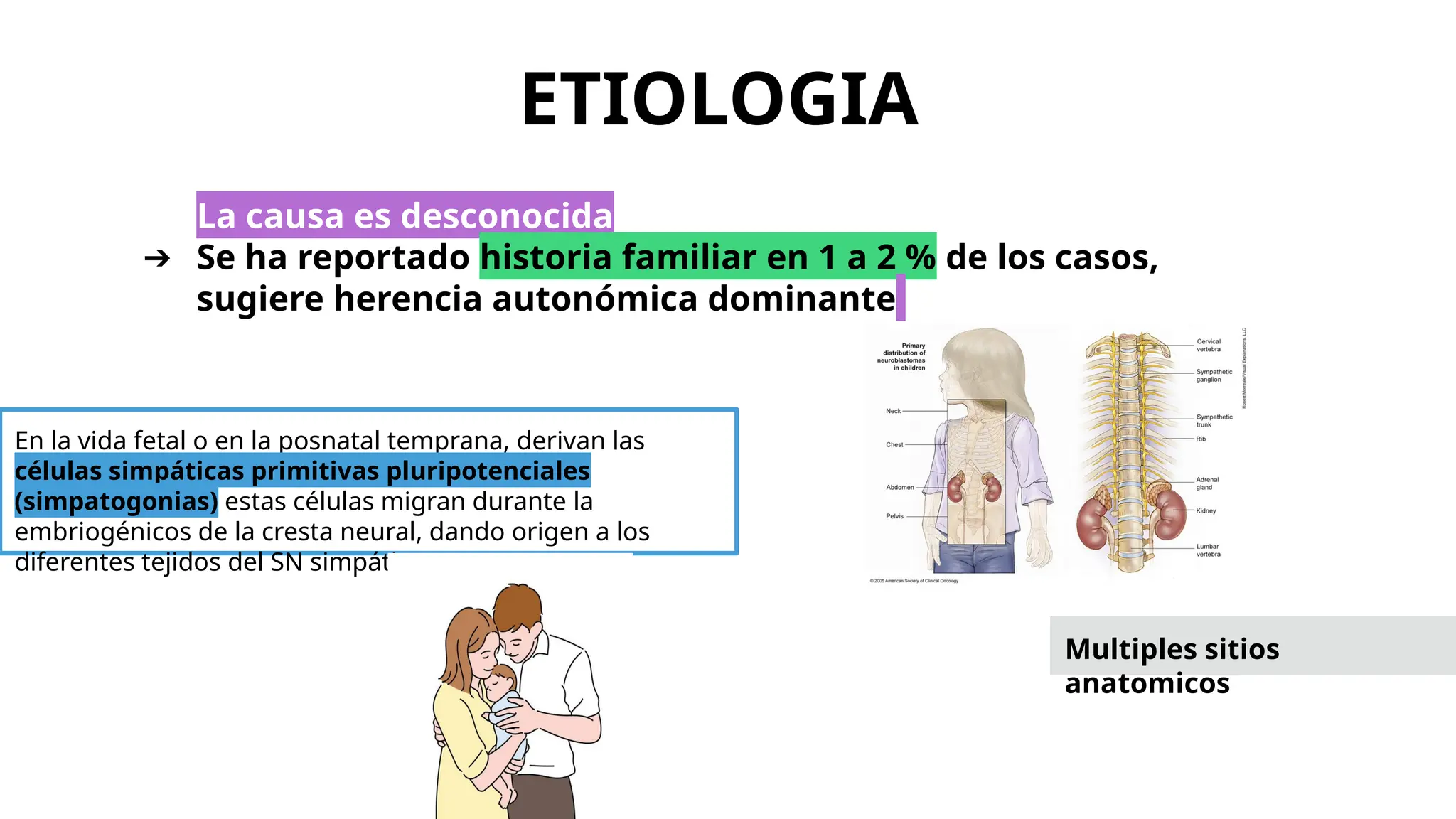 Tumores más comunes en pediatría (1).pptx | Medical Health