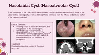 Tumores No Odontogenicos.pptx