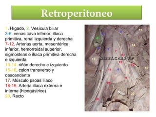 Tumores retroperitoneales | PPT