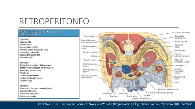 Tumores retroperitoneales